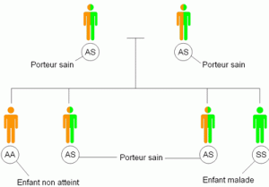 Qu'est ce que la drépanocytose