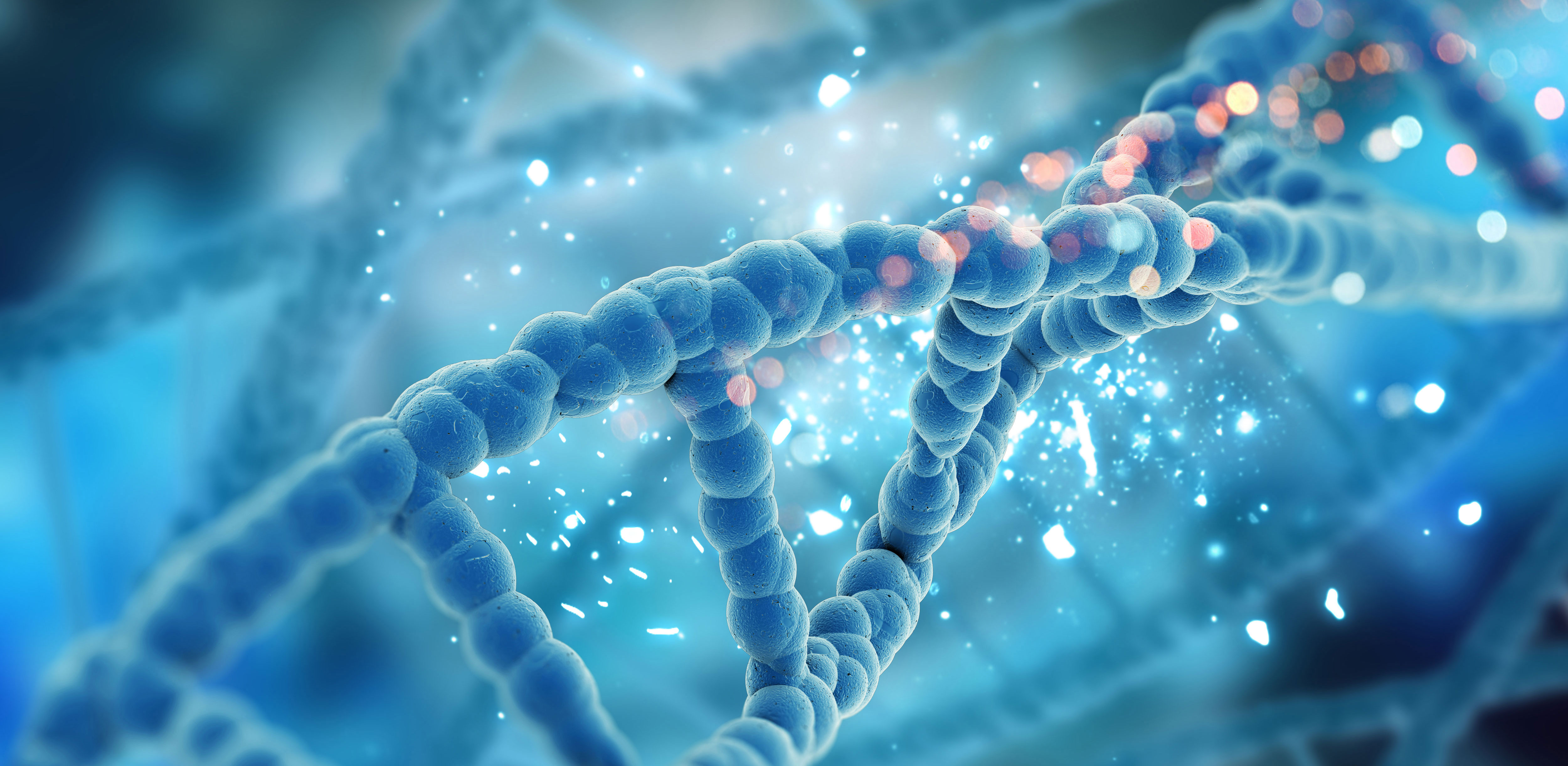 adn | Hôpital universitaire Robert-Debré