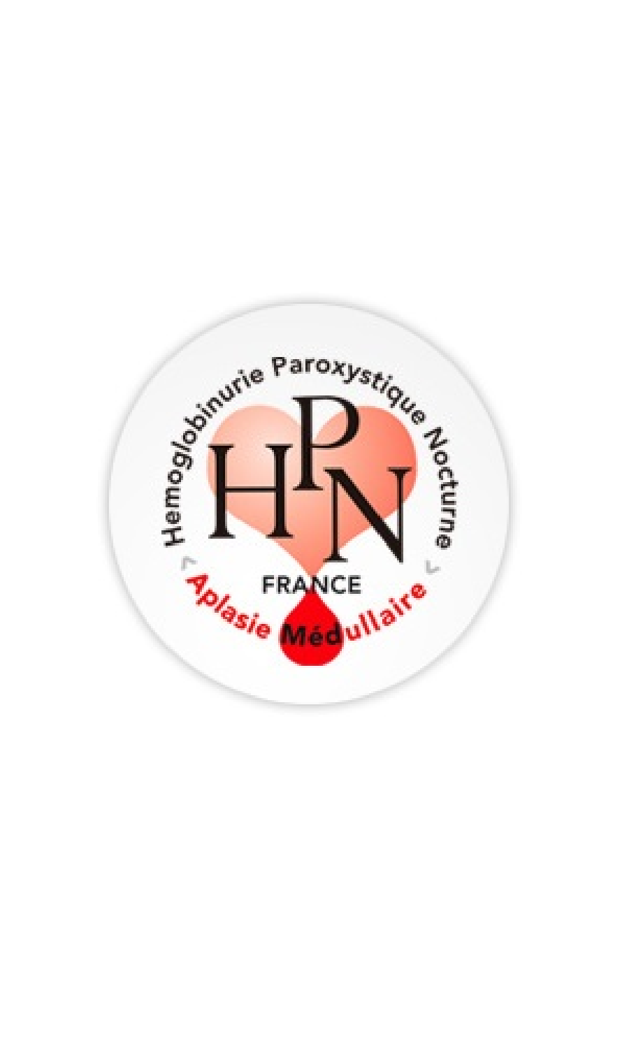 logo asso HPN France | Hôpital universitaire Robert-Debré