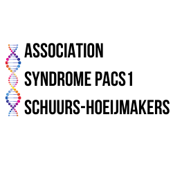 PACS1 | Épilepsie de l’enfant et de l’adolescent